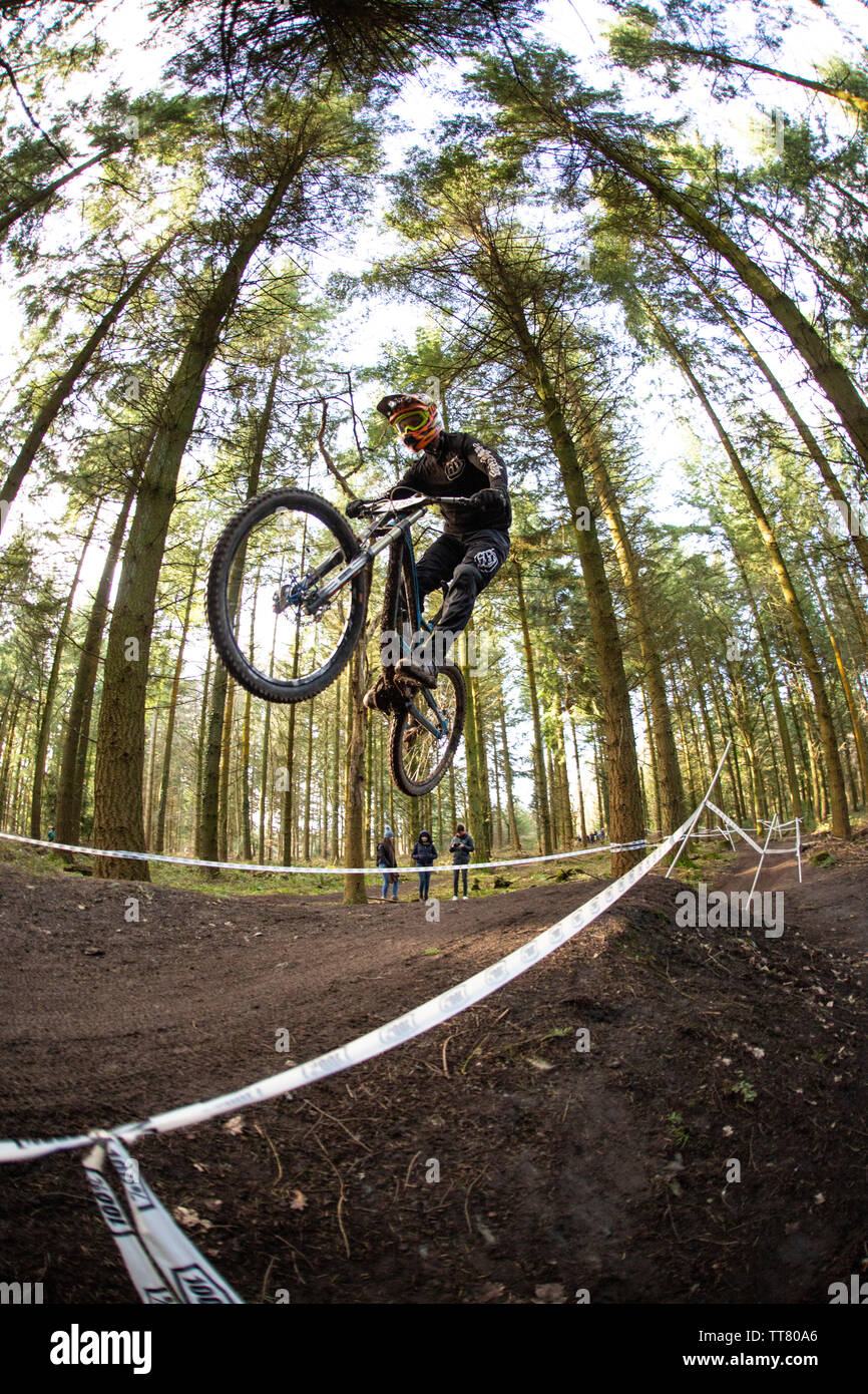 Onza Mini Downhill MB race at the Forest of Dean Stock Photo - Alamy