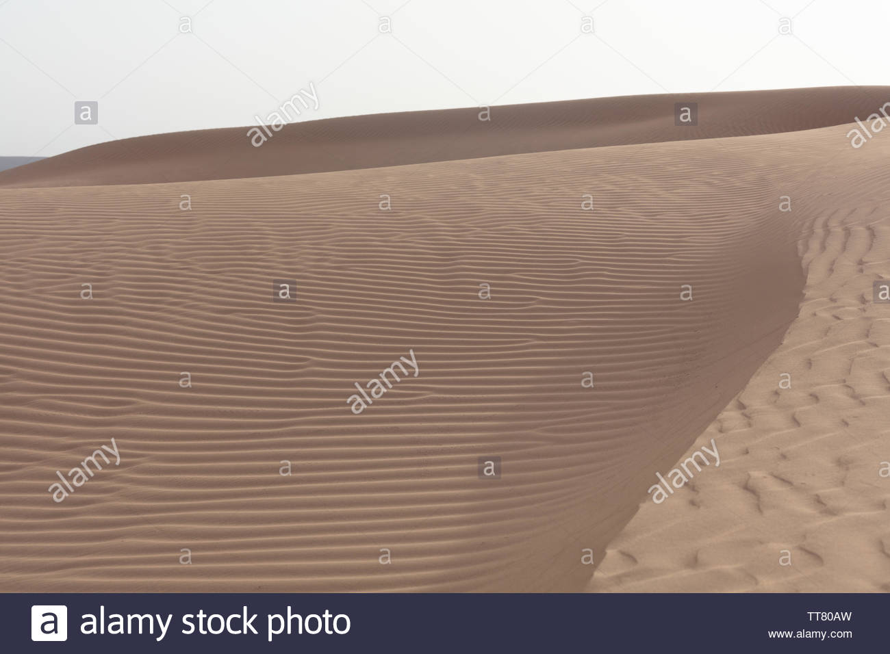 Morocco Wadi Draa High Resolution Stock Photography and Images - Alamy