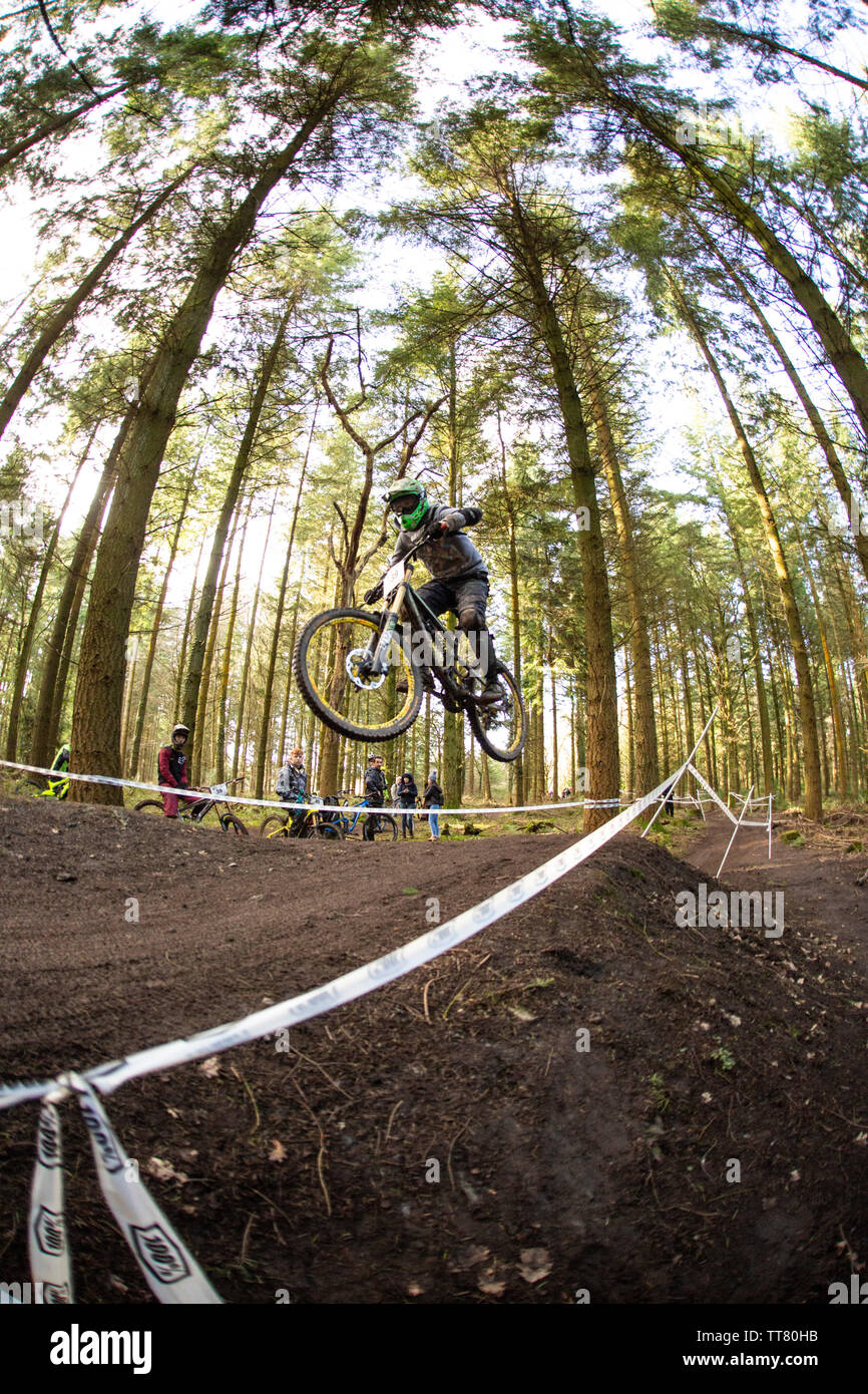 Onza Mini Downhill MB race at the Forest of Dean Stock Photo - Alamy