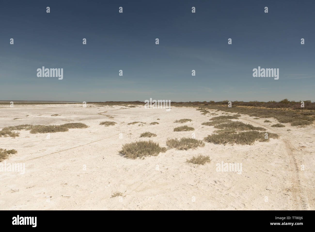 Consequences of the Aral sea disaster. Sandy salt desert on the site of ...