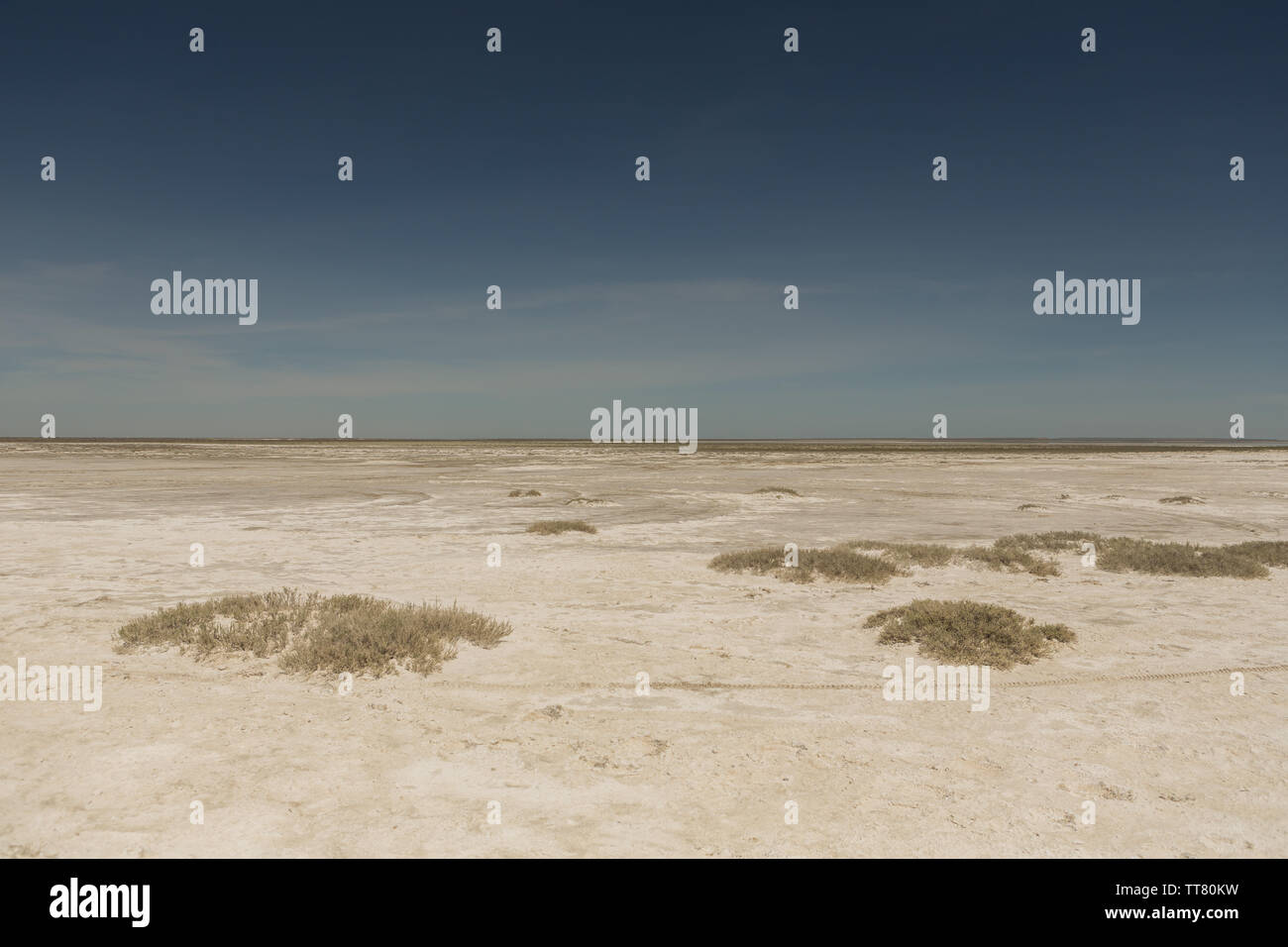 Consequences of the Aral sea disaster. Sandy salt desert on the site of ...
