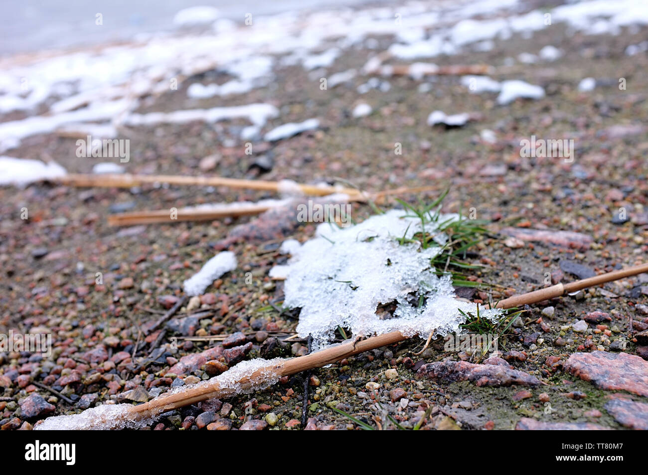 Green grass covered with snow Stock Photo - Alamy
