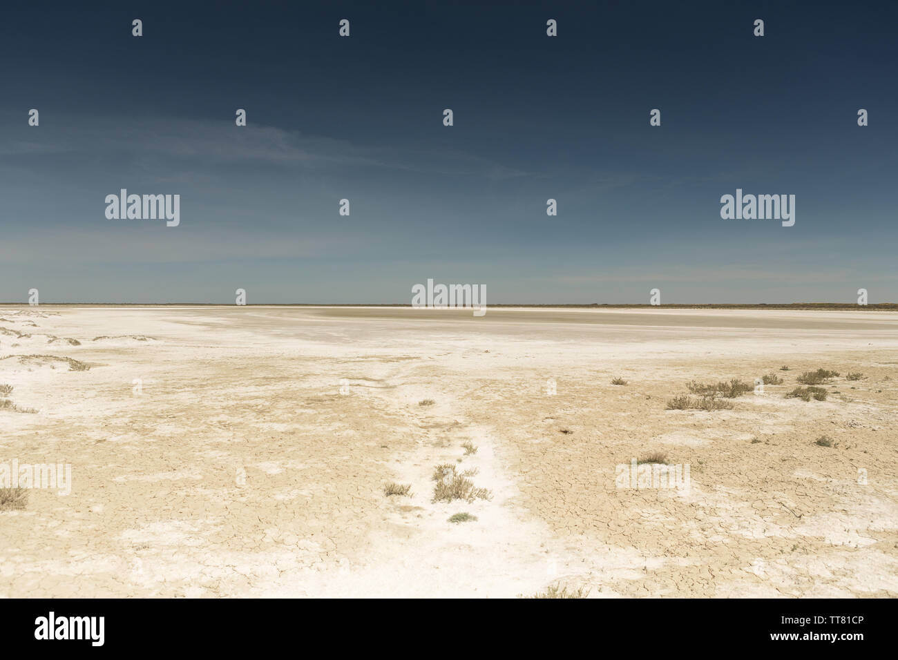 Consequences of the Aral sea disaster. Sandy salt desert on the site of ...