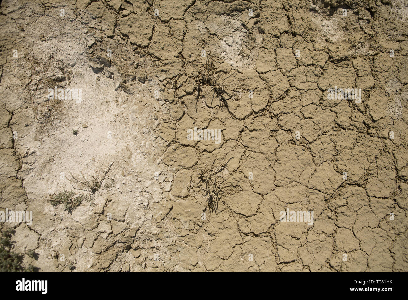 Consequences of the Aral sea disaster. Sandy salt desert on the site of ...