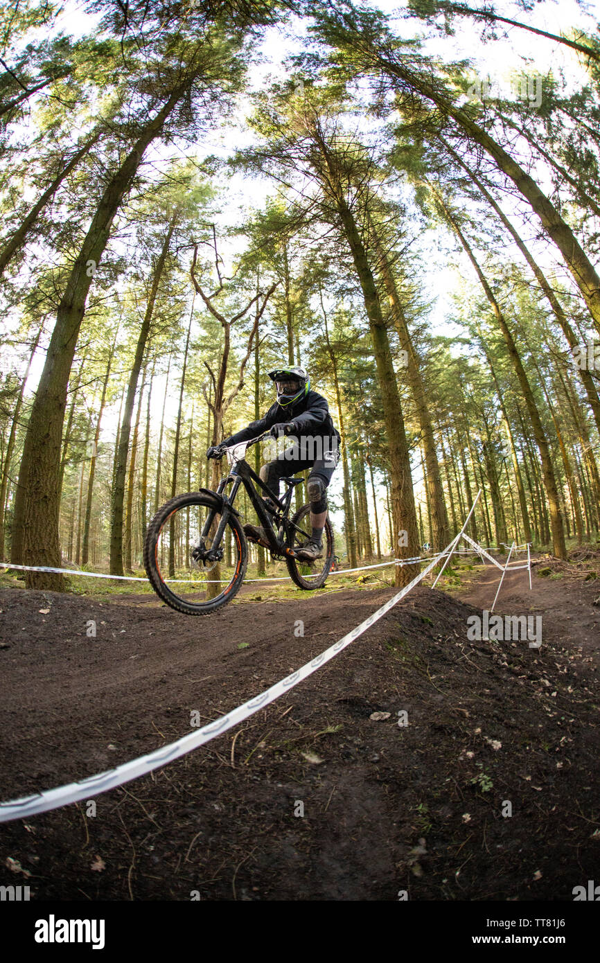 Onza Mini Downhill MB race at the Forest of Dean Stock Photo - Alamy