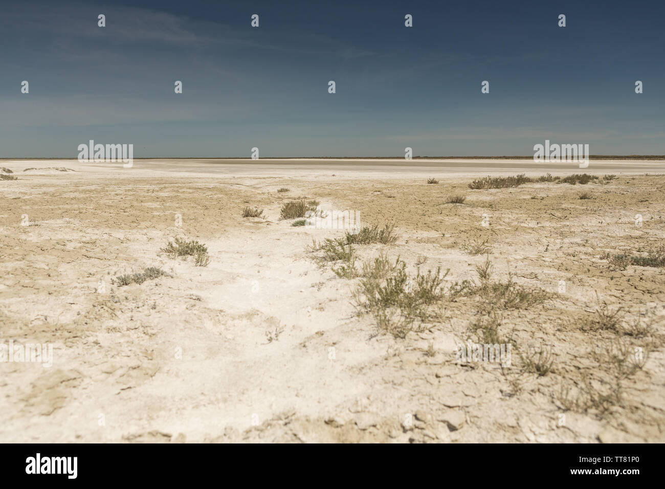 Consequences of the Aral sea disaster. Sandy salt desert on the site of ...