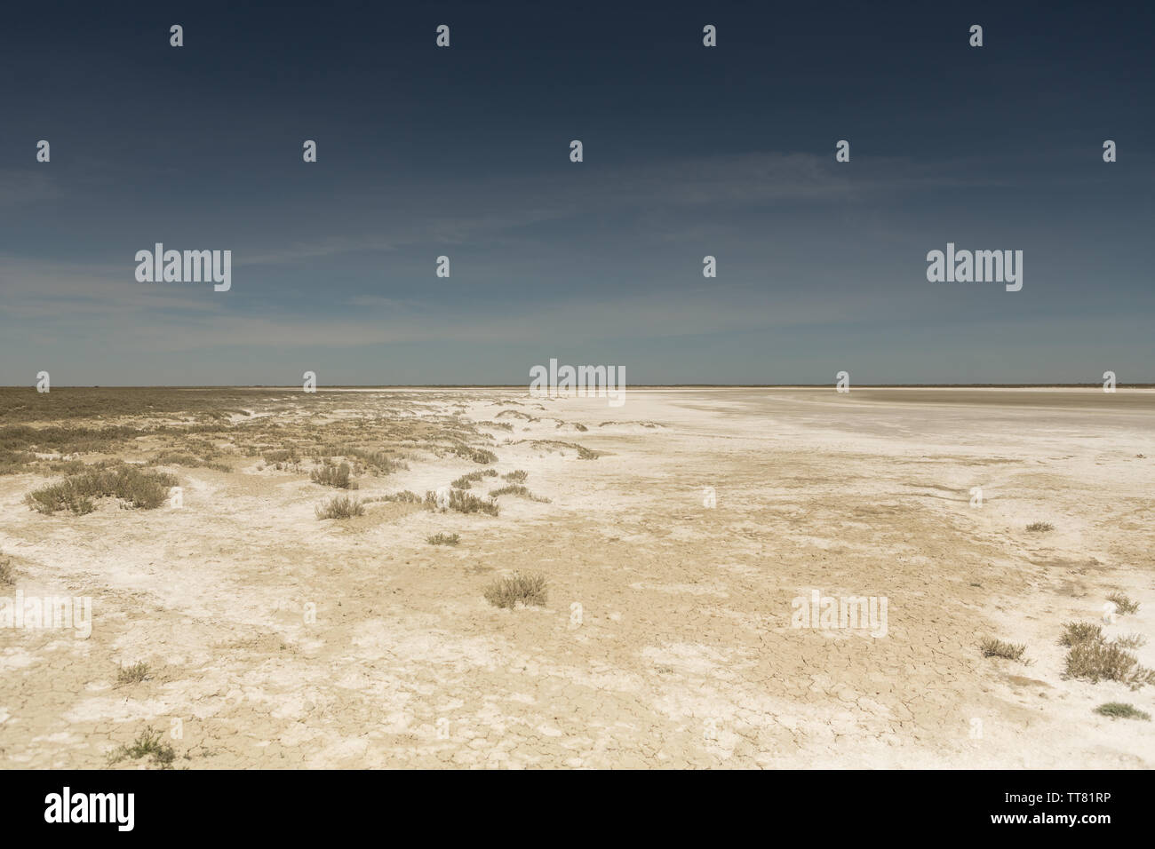 Consequences of the Aral sea disaster. Sandy salt desert on the site of ...