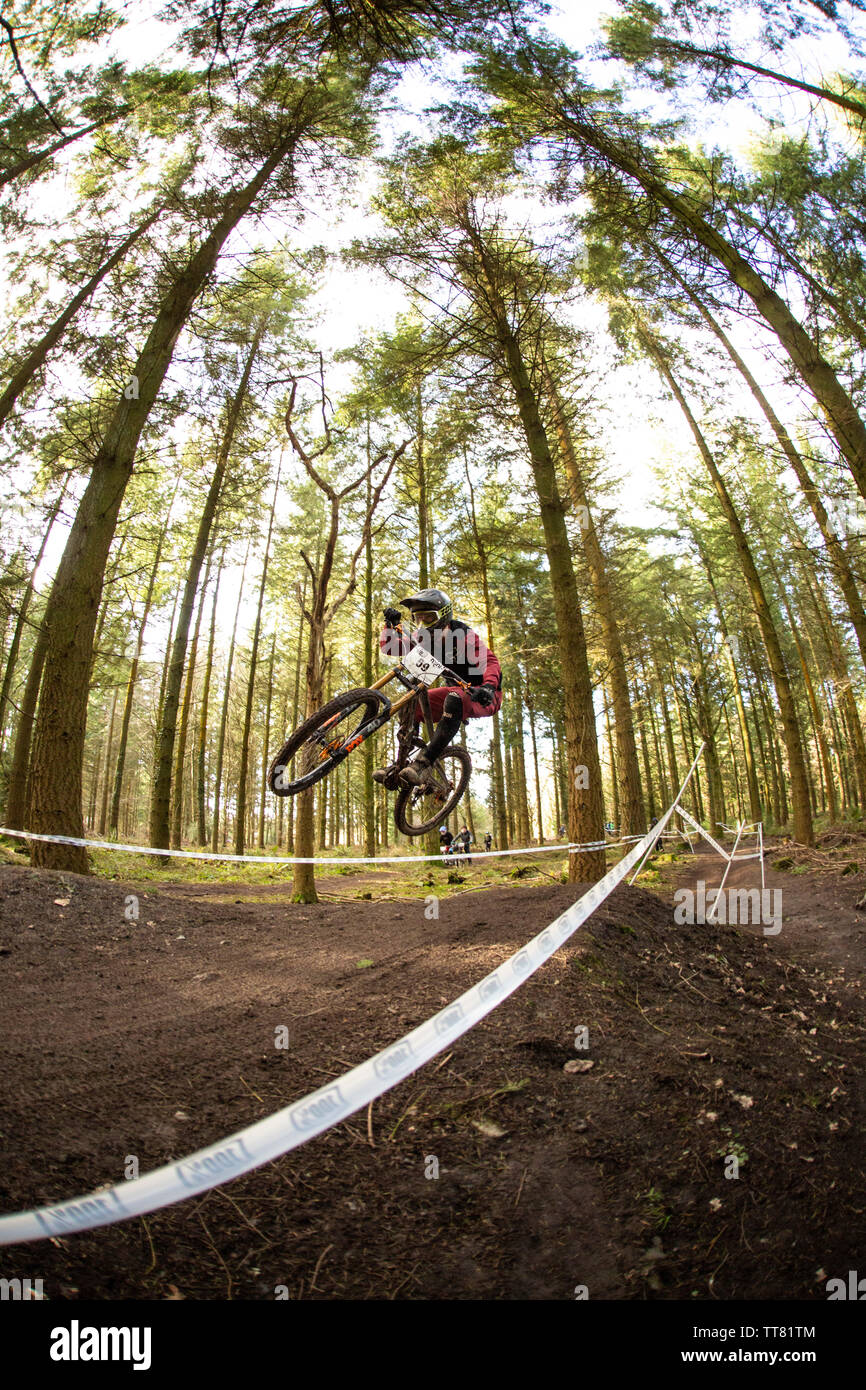 Onza Mini Downhill MB race at the Forest of Dean Stock Photo - Alamy