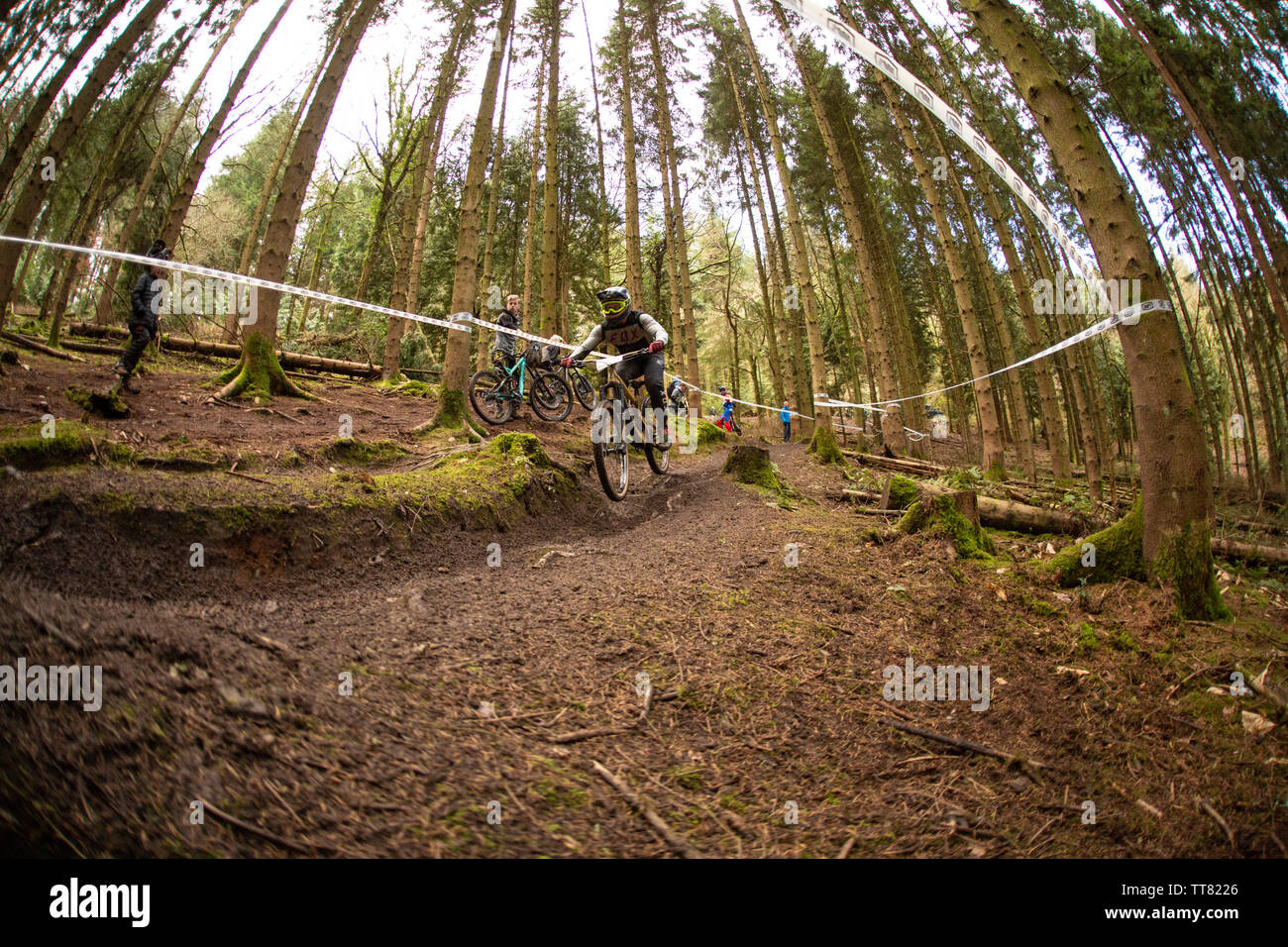 Onza Mini Downhill MB race at the Forest of Dean Stock Photo - Alamy
