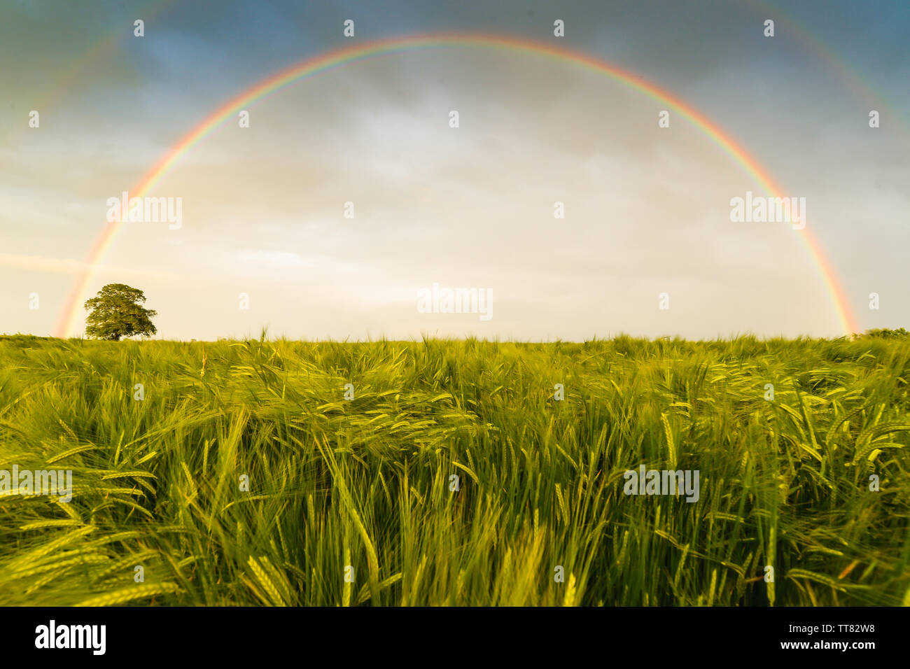 Corn rain cloud uk hi-res stock photography and images - Alamy
