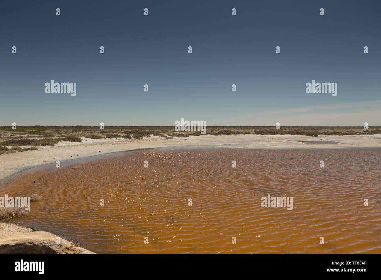 Aral sea.Part of the dried-up Aral sea,salt marshes and industrial ...