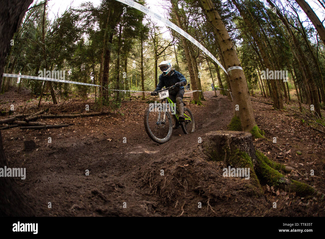 Onza Mini Downhill MB race at the Forest of Dean Stock Photo - Alamy