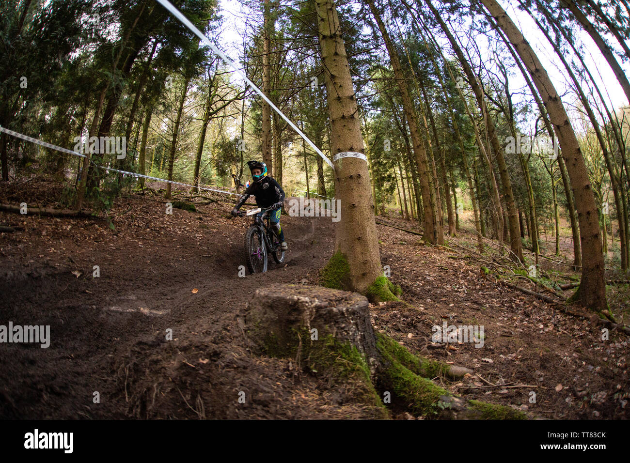Onza Mini Downhill MB race at the Forest of Dean Stock Photo - Alamy