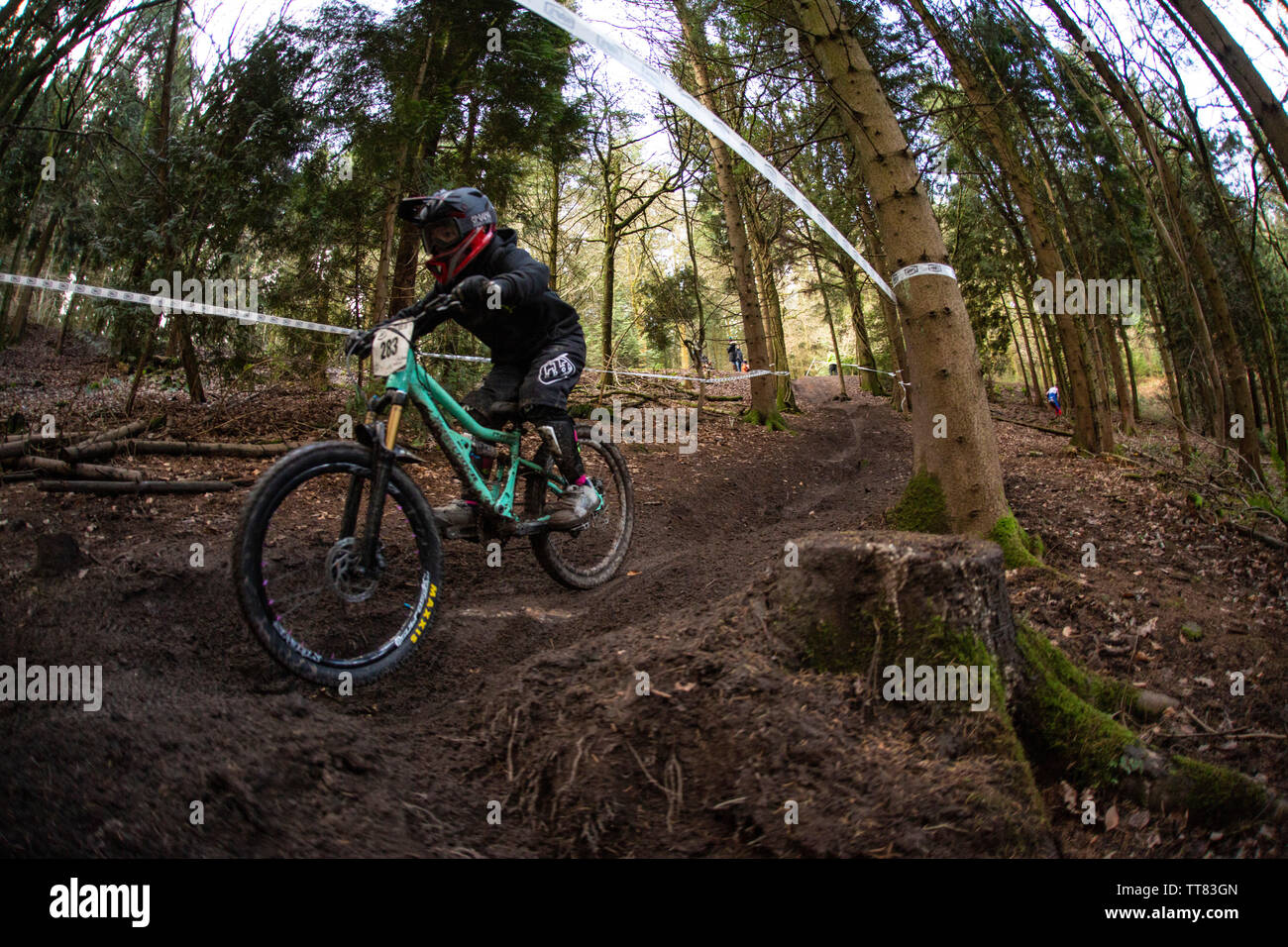 Onza Mini Downhill MB race at the Forest of Dean Stock Photo - Alamy