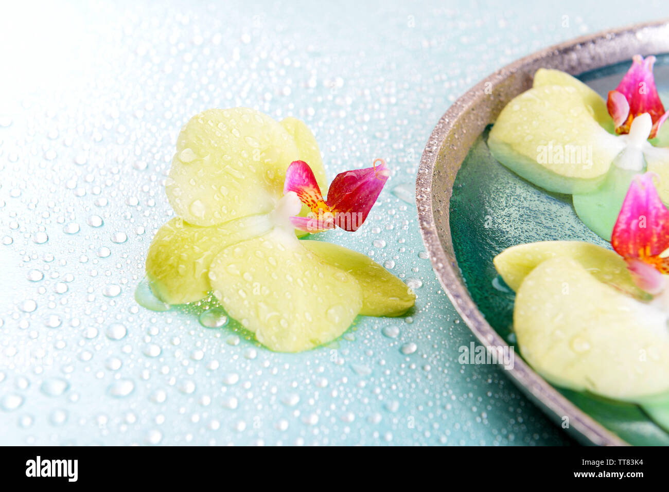 Beautiful orchid flowers in water close-up Stock Photo - Alamy