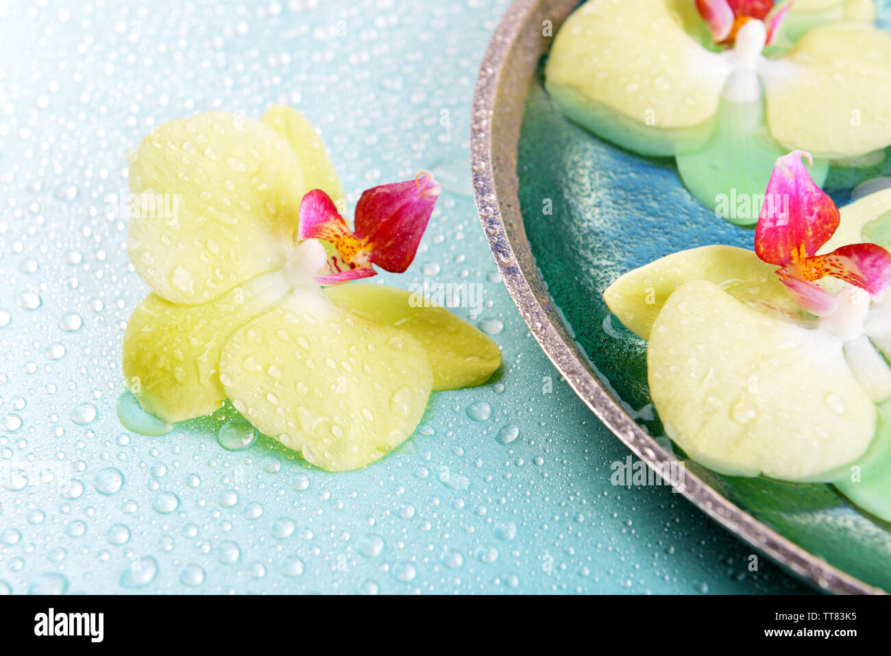Beautiful orchid flowers in water close-up Stock Photo - Alamy