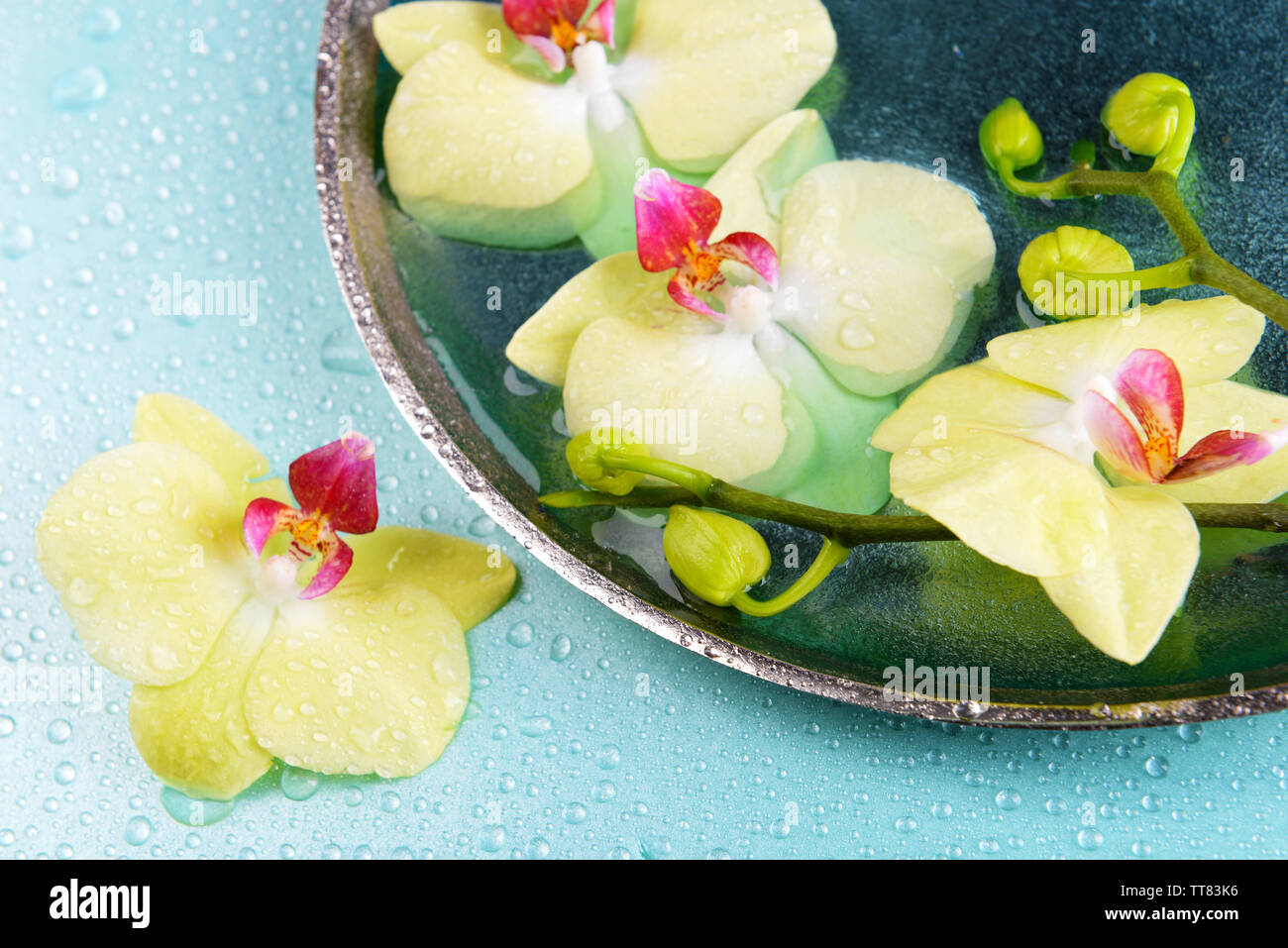 Beautiful orchid flowers in water close-up Stock Photo - Alamy