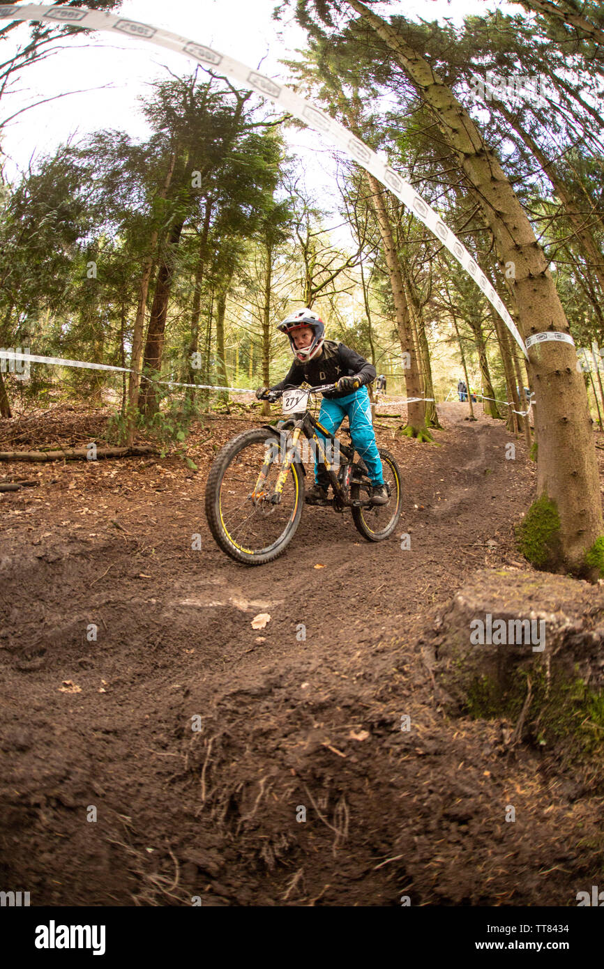 Onza Mini Downhill MB race at the Forest of Dean Stock Photo - Alamy