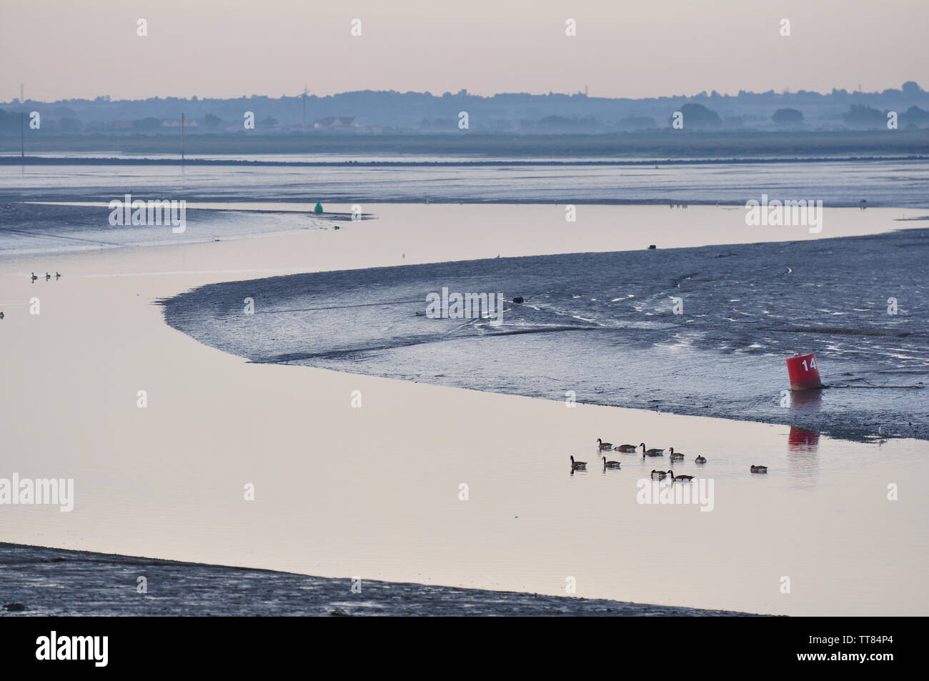 River Blackwater below Maldon, Essex, England, UK Stock Photo - Alamy