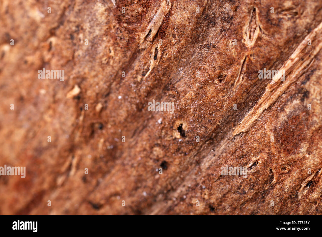 Coconut shell texture close up Stock Photo - Alamy