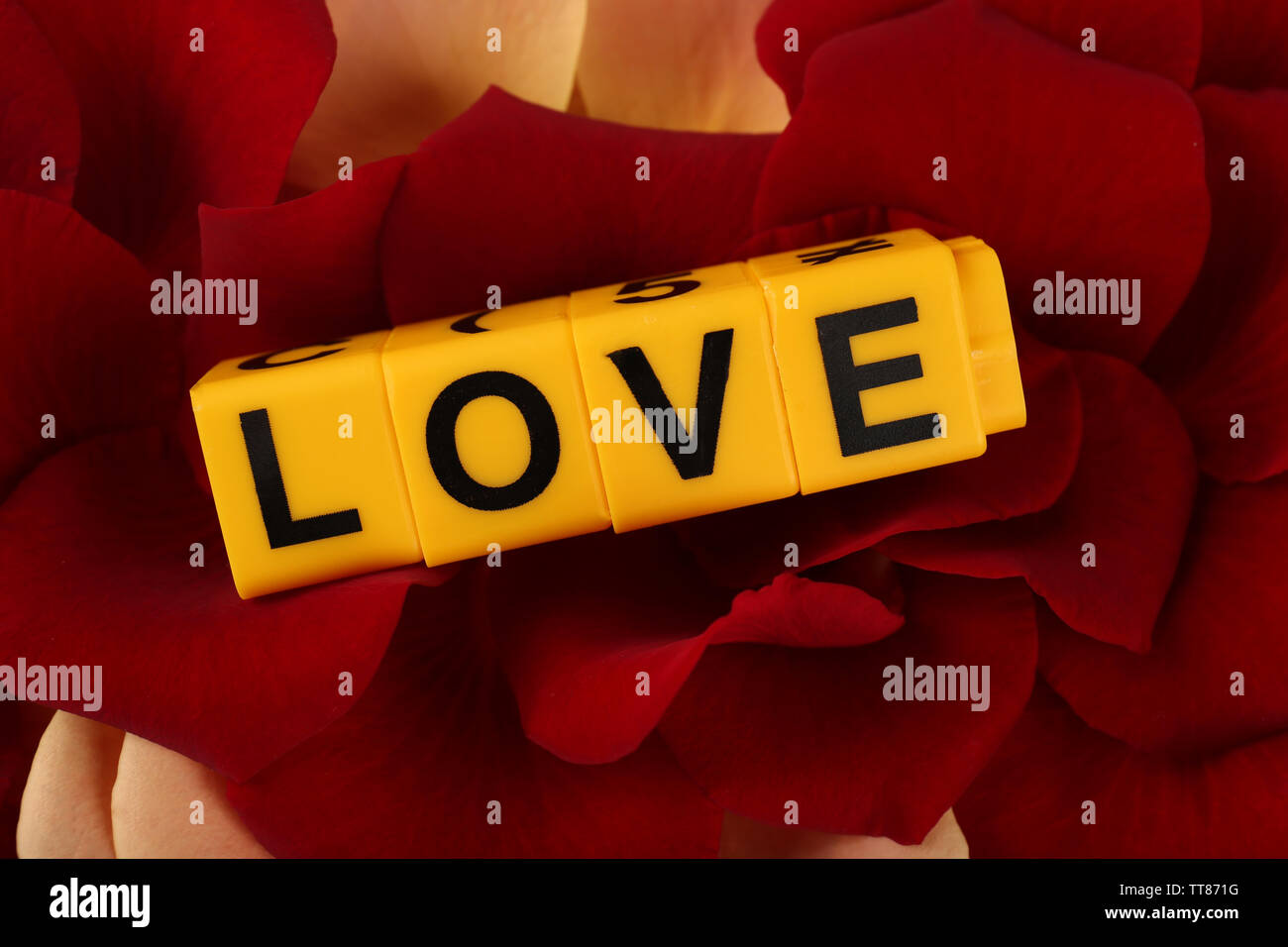 Decorative letters forming word LOVE on petals of roses background ...