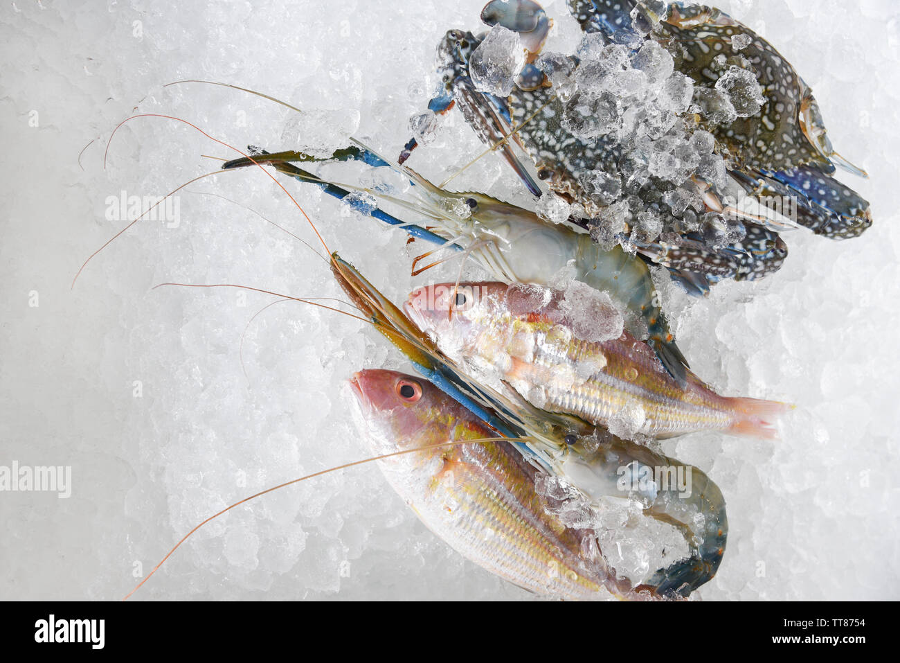 Fresh raw seafood on ice background / Shellfish shrimps prawns crab and ...
