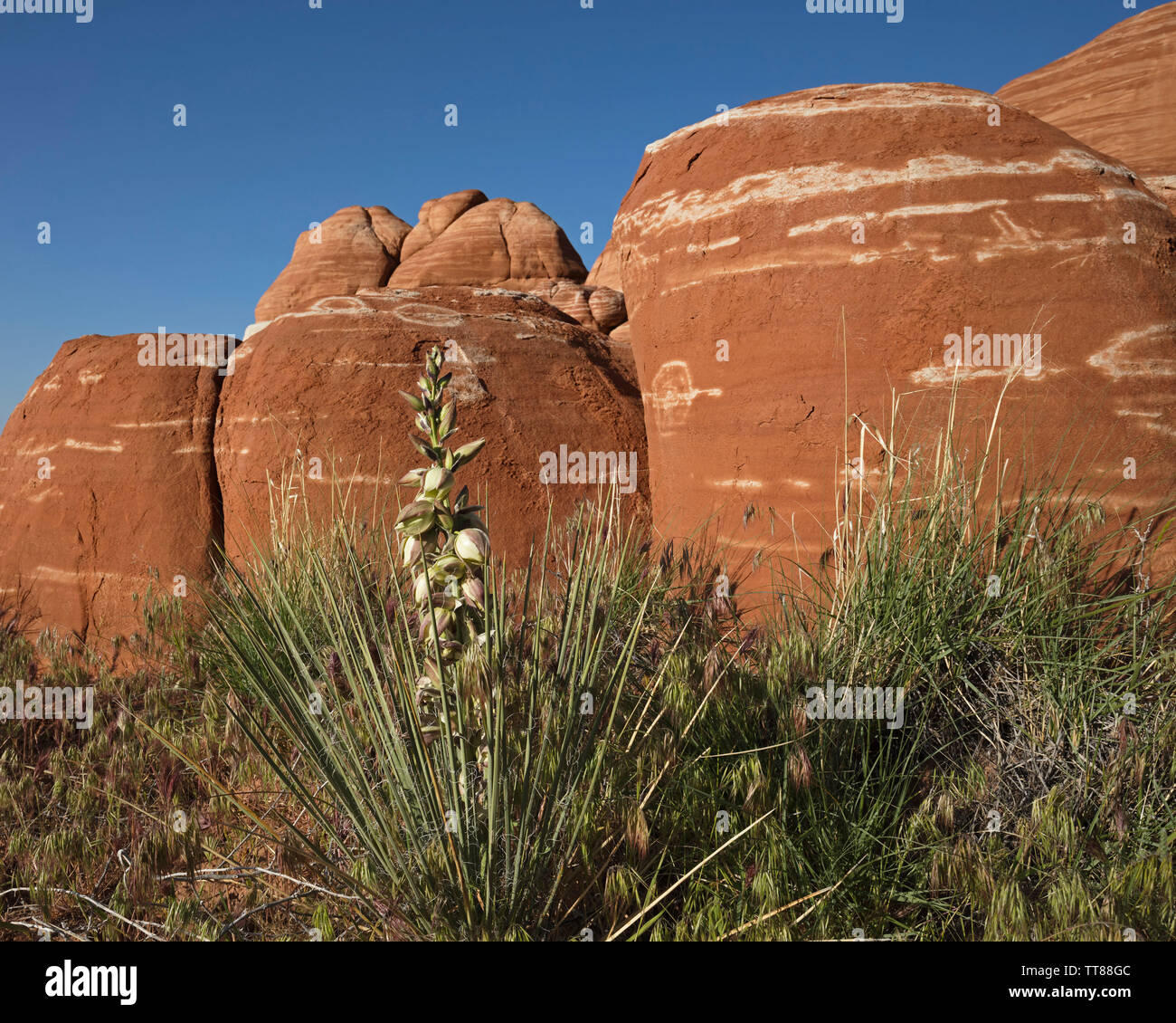 Blue Canyon on the Hopi Reservation Stock Photo - Alamy