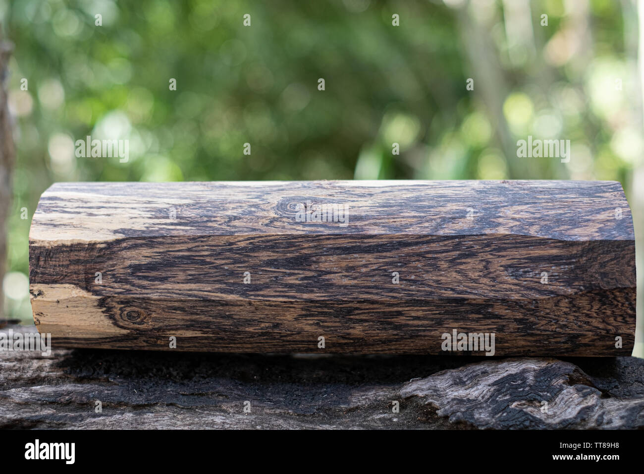 Ebony wood logs hi-res stock photography and images - Alamy