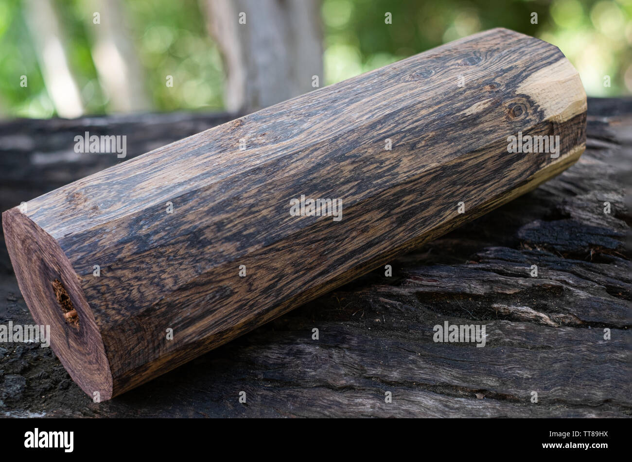 Ebony wood logs hi-res stock photography and images - Alamy