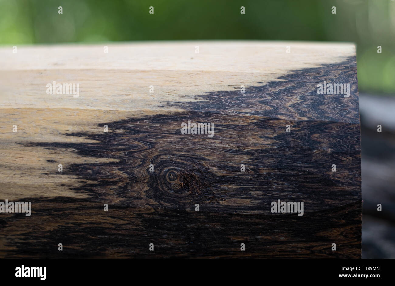 Ebony wood logs hi-res stock photography and images - Alamy