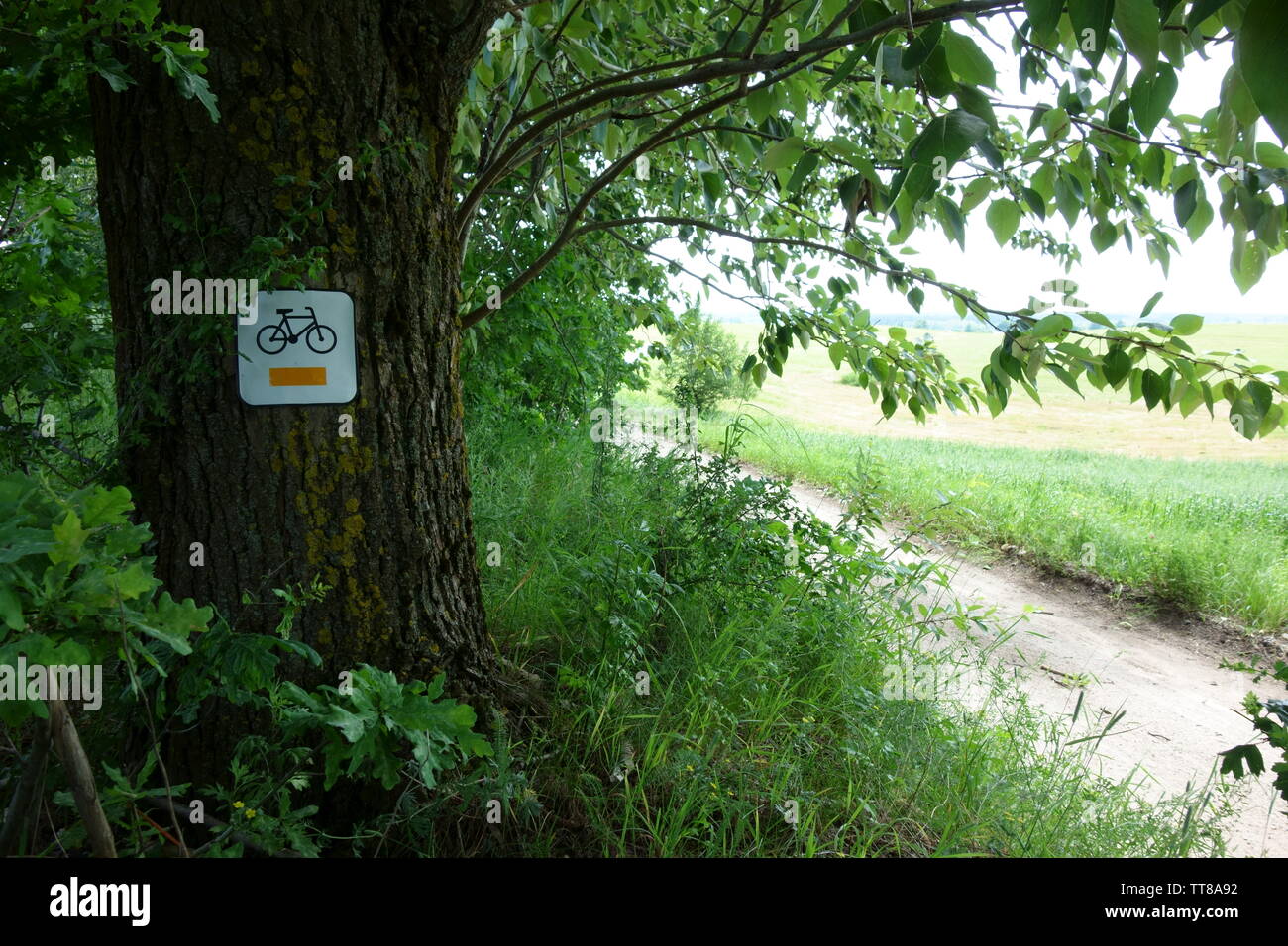 Trekking cycle hi-res stock photography and images - Alamy