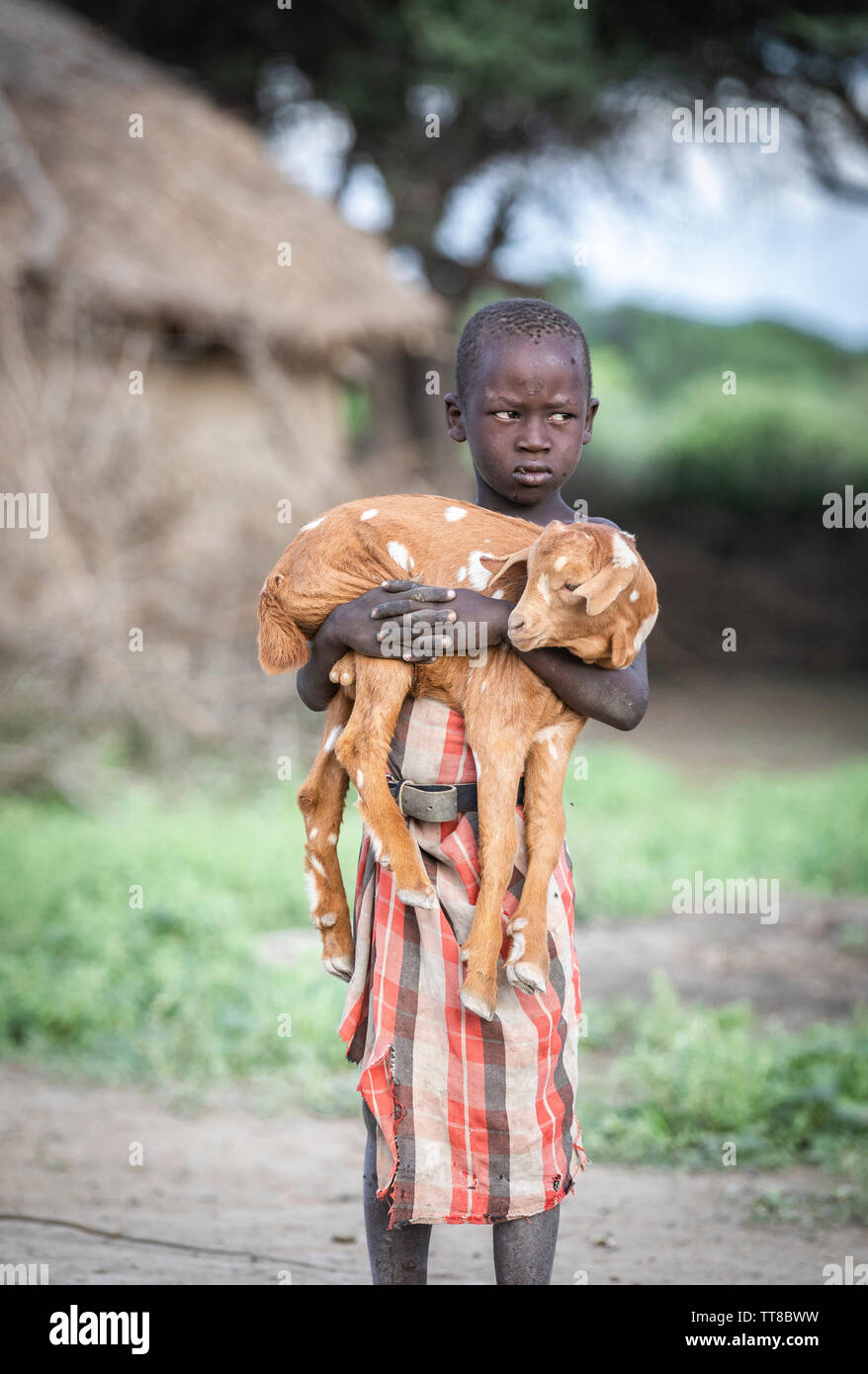 same, Tanzania, 4th June 2019: maasai boy with a baby goat Stock Photo ...