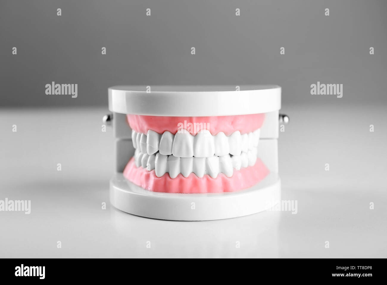 Plastic human teeth models isolated on white Stock Photo - Alamy
