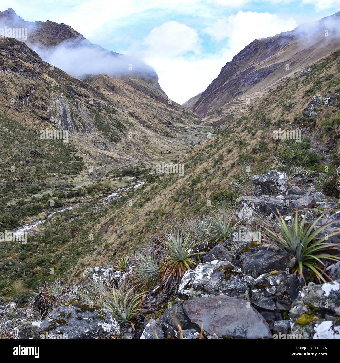 Andean scenery hi-res stock photography and images - Alamy