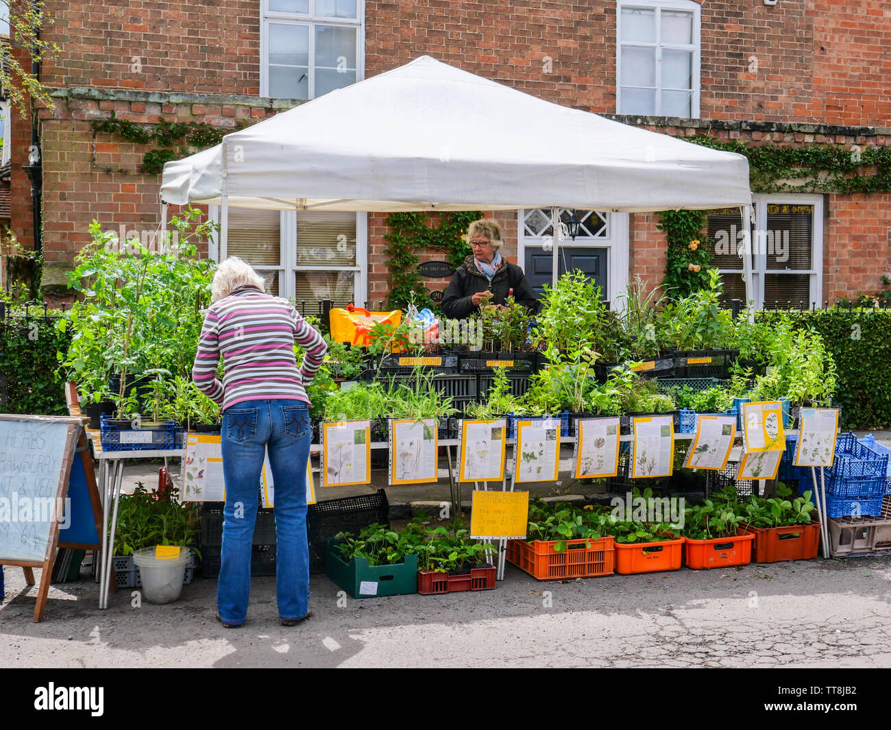 Ladies tending a fresh herb stall at a village fair Stock Photo - Alamy