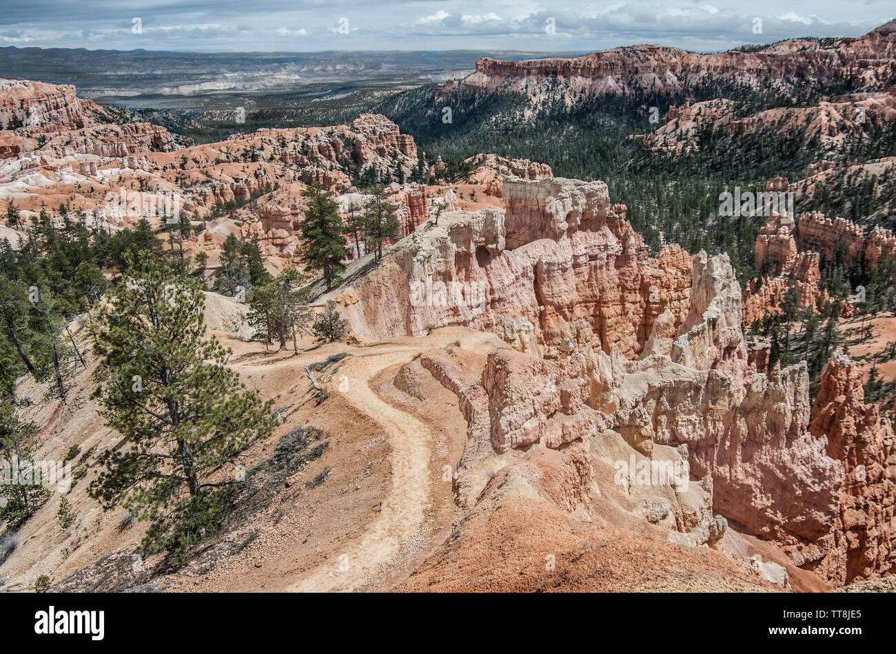 Canyon Hiking Trail: A winding pathway follows the top of a rocky ridge ...