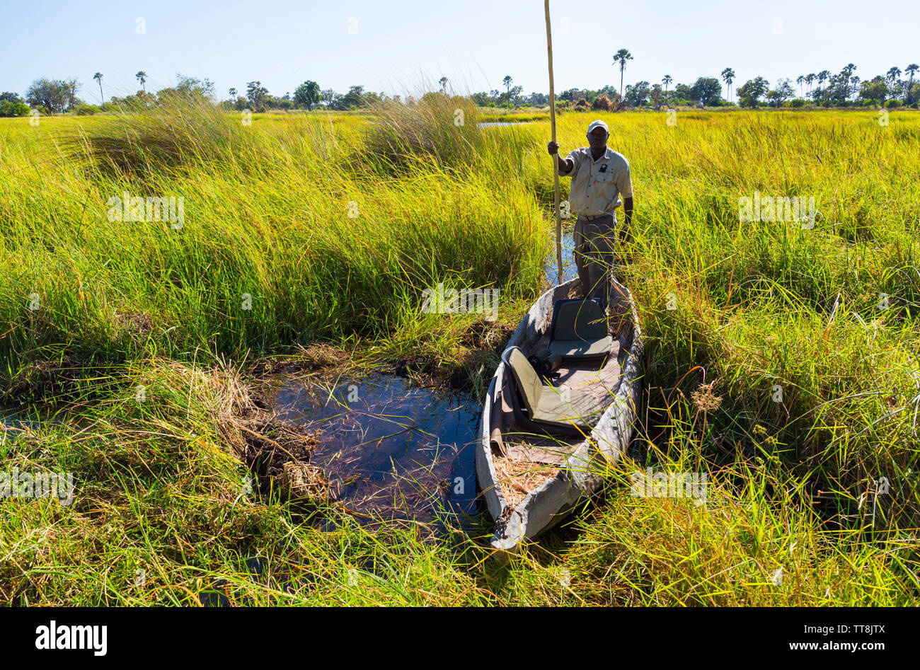 Mokoro, Okavango Delta, Botswana, Africa Stock Photo - Alamy