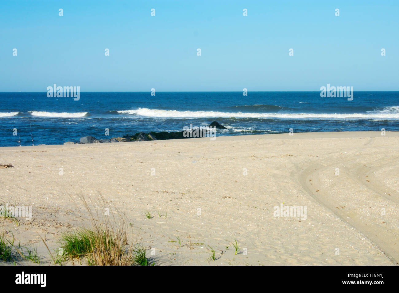 Sandy hook beach hi-res stock photography and images - Alamy