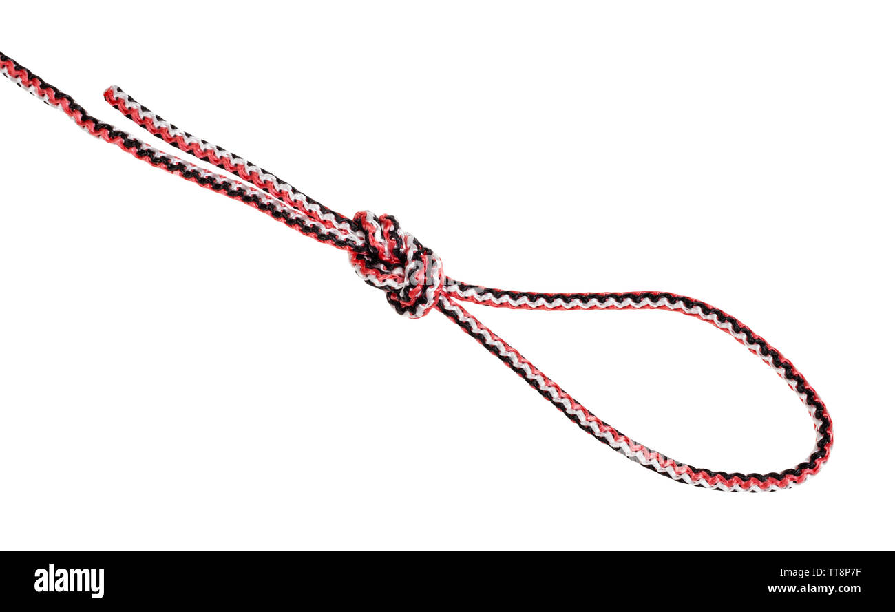 Flemish loop knot tied on synthetic rope cut out on white background ...