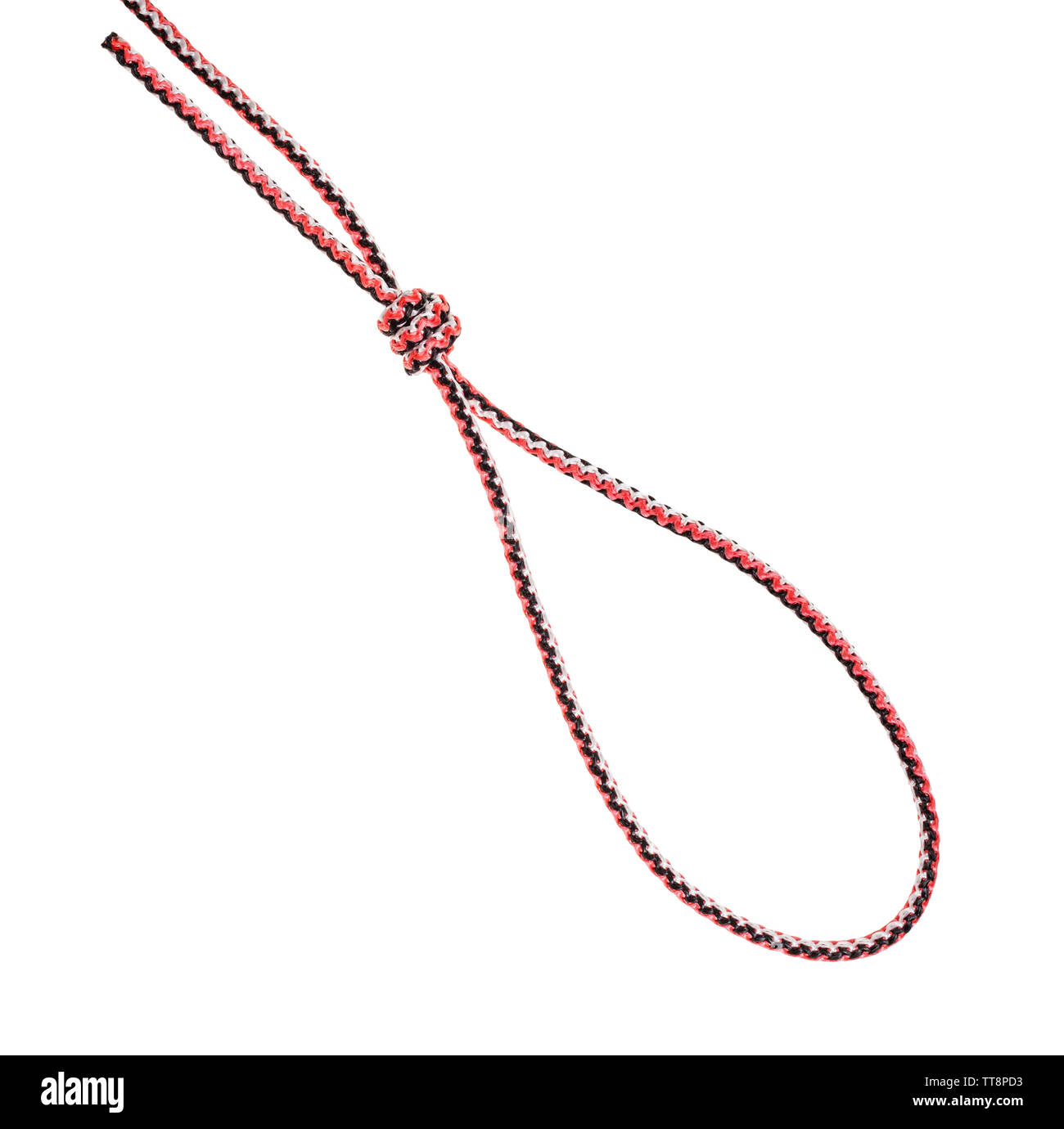 loop of gallows knot tied on synthetic rope cut out on white background ...