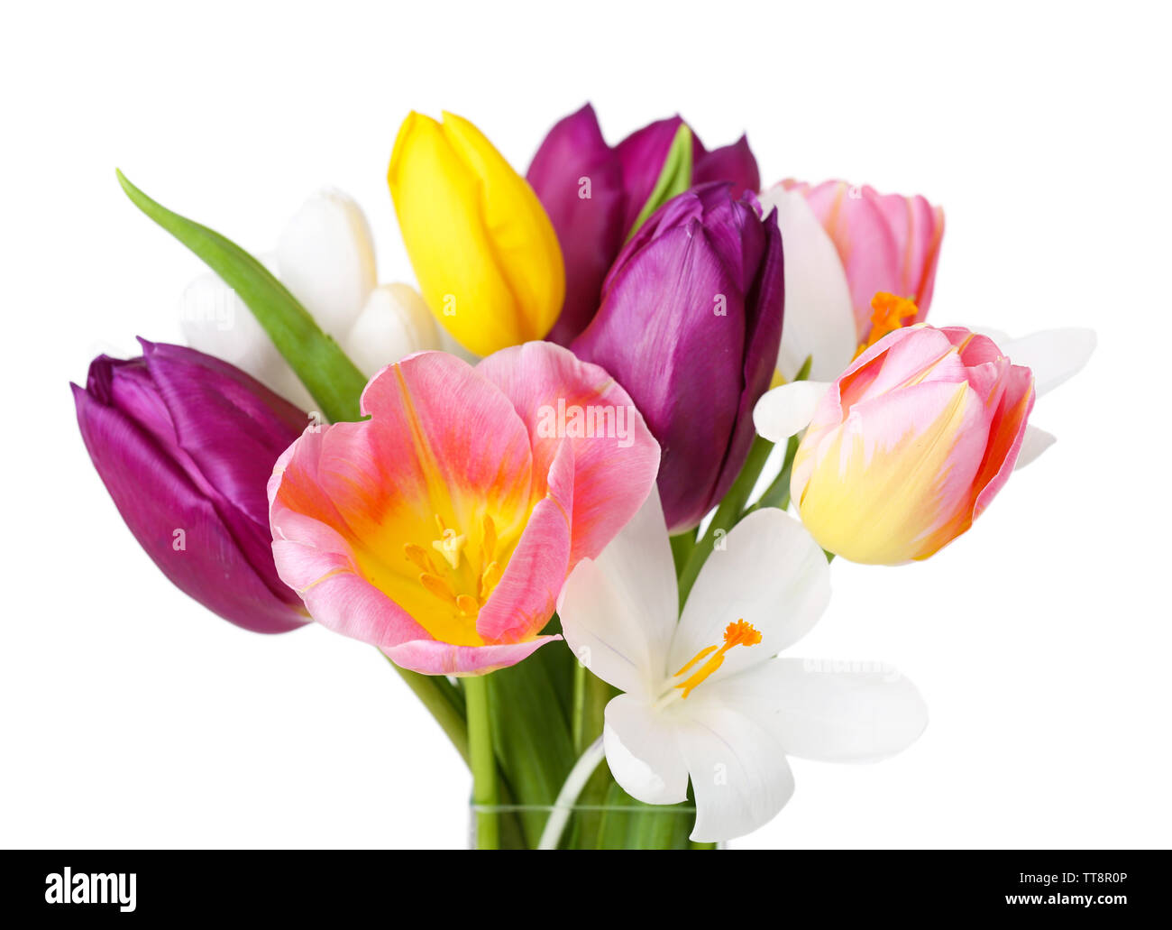 Fresh bouquet with tulips and crocus isolated on white Stock Photo - Alamy