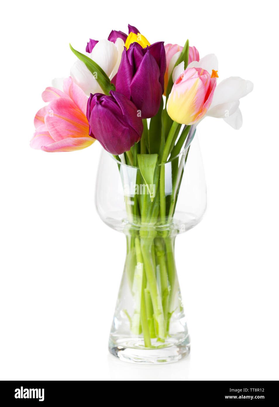 Crocus flower and tulip leaves Cut Out Stock Images & Pictures - Alamy