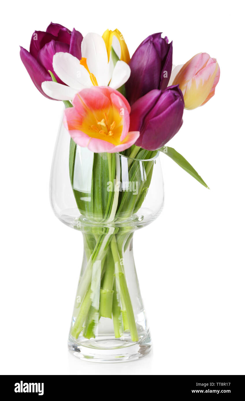 Crocus flower and tulip leaves Cut Out Stock Images & Pictures - Alamy