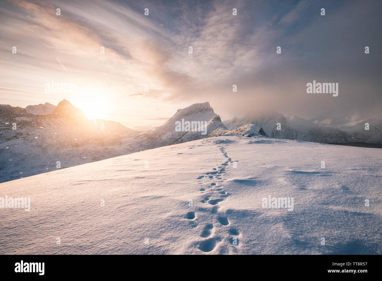 Blizzard ridge hi-res stock photography and images - Alamy