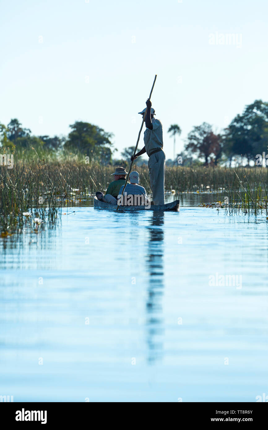 Mokoro, Okavango Delta, Botswana, Africa Stock Photo - Alamy