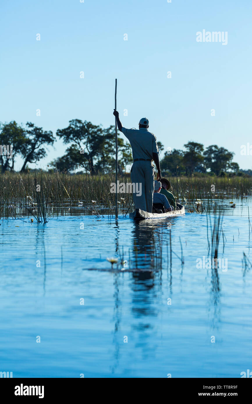 Mokoro animals hi-res stock photography and images - Alamy