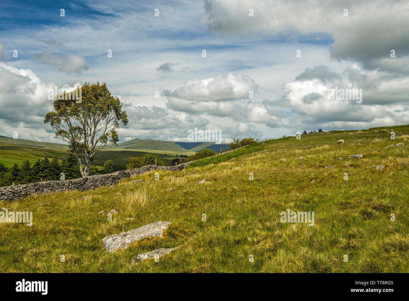 Welsh country scene hi-res stock photography and images - Alamy