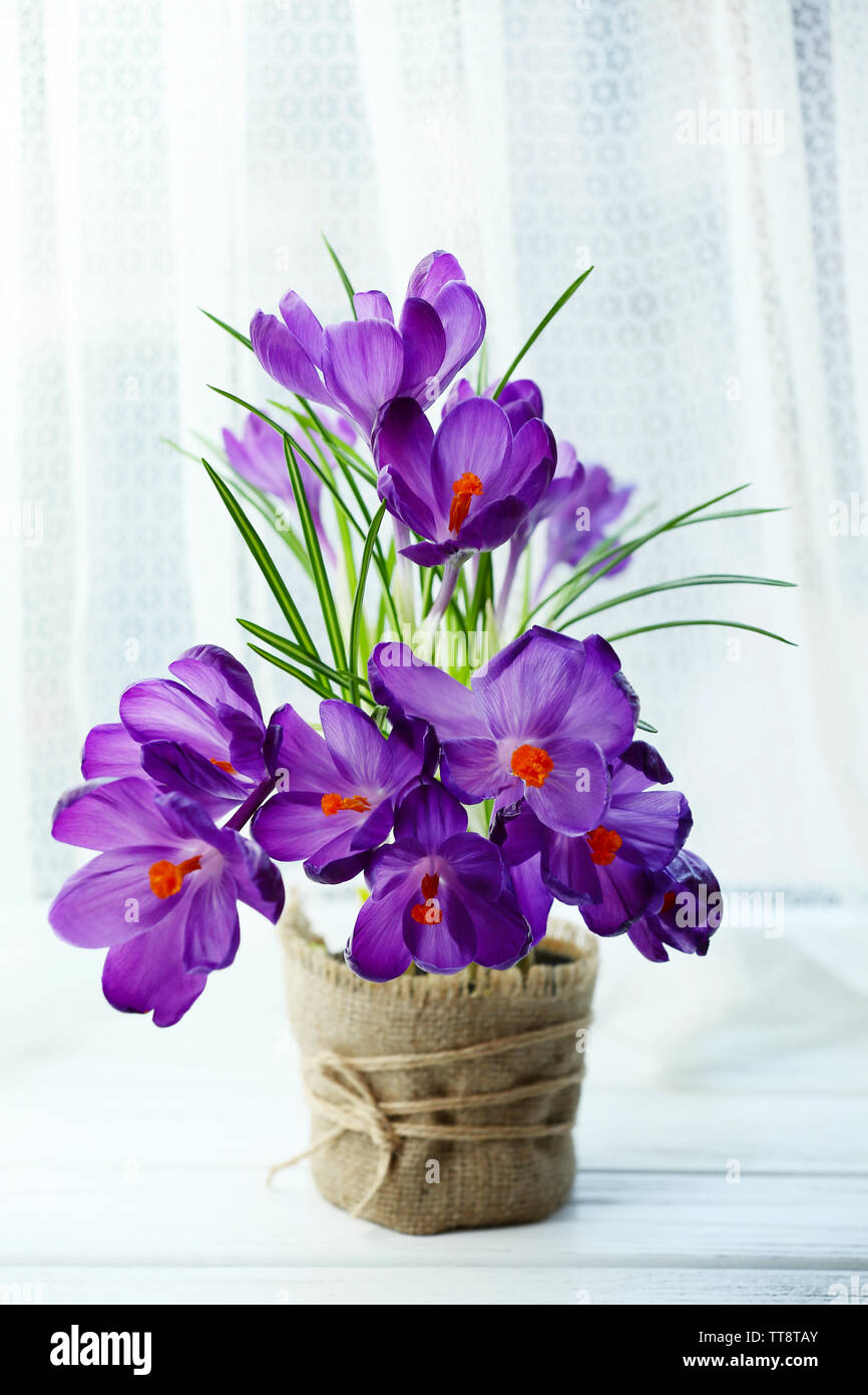 Crocus cloth hi-res stock photography and images - Alamy