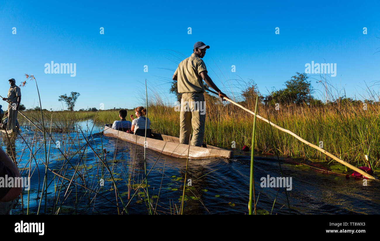 Mokoro, Okavango Delta, Botswana, Africa Stock Photo - Alamy