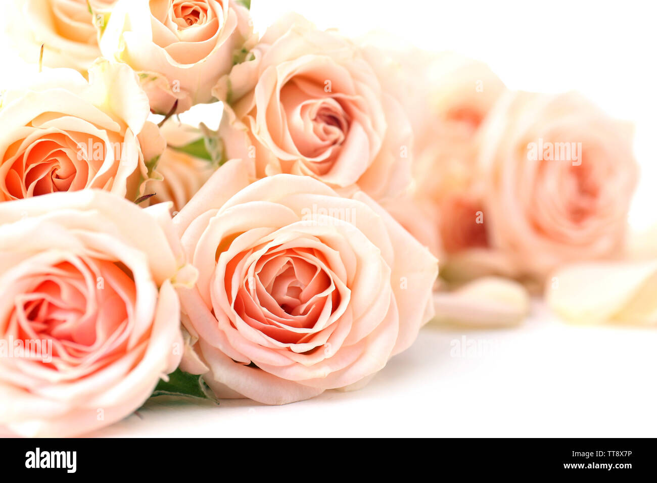 Bouquet of beautiful fresh roses, closeup Stock Photo - Alamy